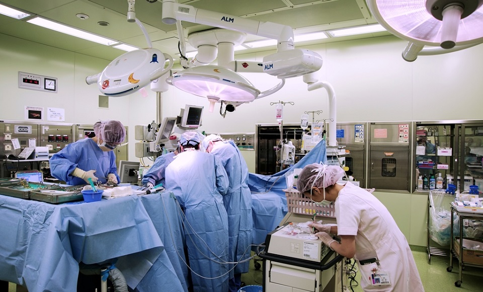 The Hospital of National Center for Child Health and Development | Find ...