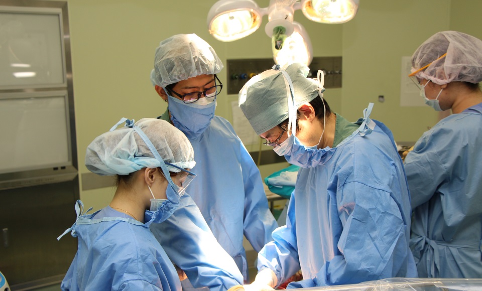 Saiseikai Fukuoka General Hospital | Japan Hospital Search